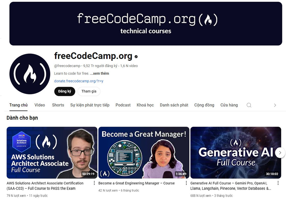 Top 7 Kênh Youtube Tự Học Sql Hàng Đầu And Lộ Trình Học Hiệu Quả Robiz Tech Academy